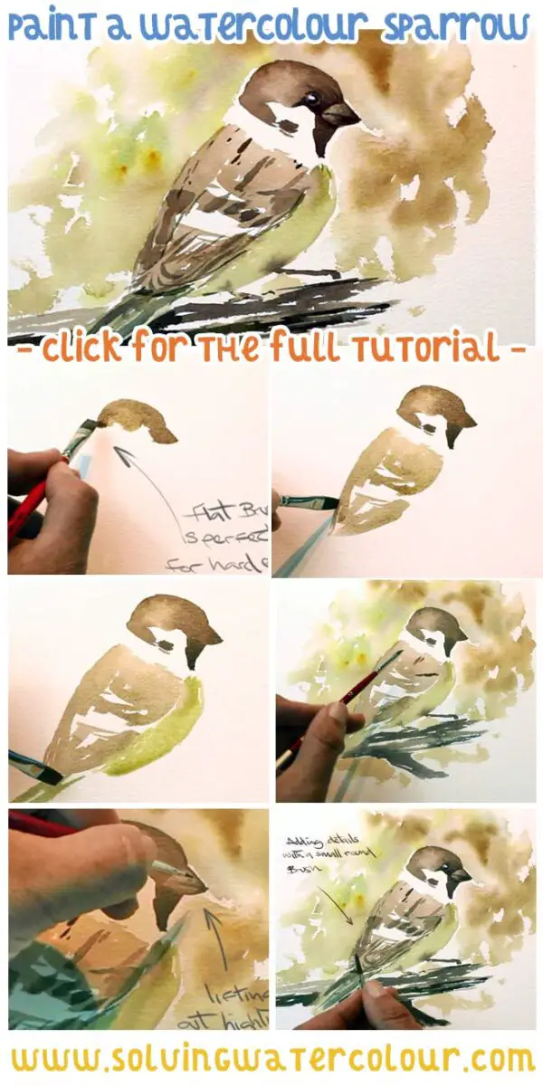 How To Paint Loose Watercolor Birds | Sparrow Tutorial - Solving ...
