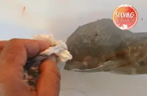 Let's Rock! How to Paint Watercolor Rocks - Solving Watercolour